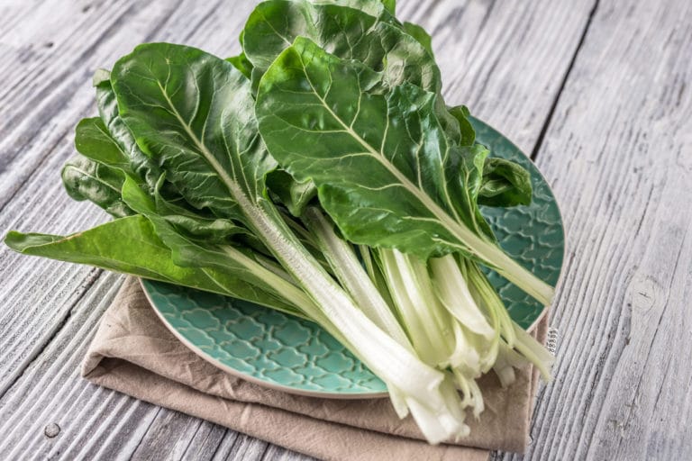 Blette : comment la semer, la cultiver et la récolter